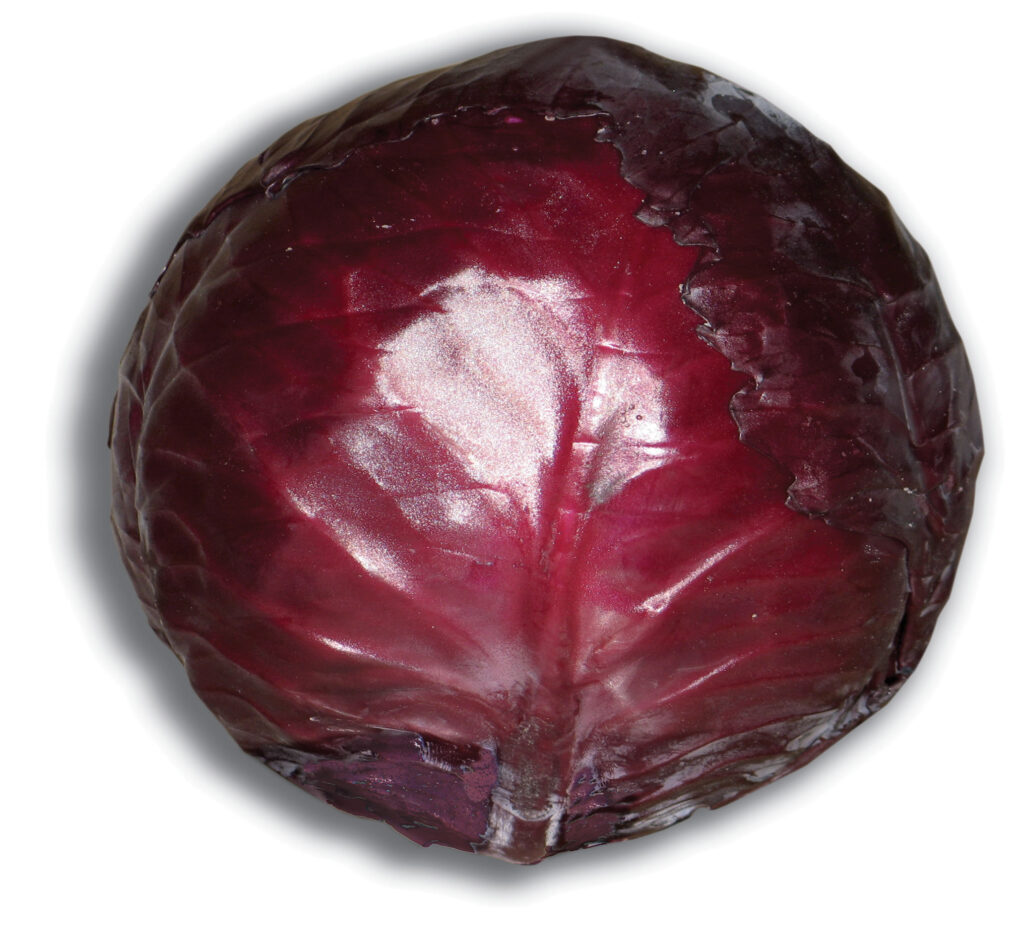 Redguard F1 - United Kingdom