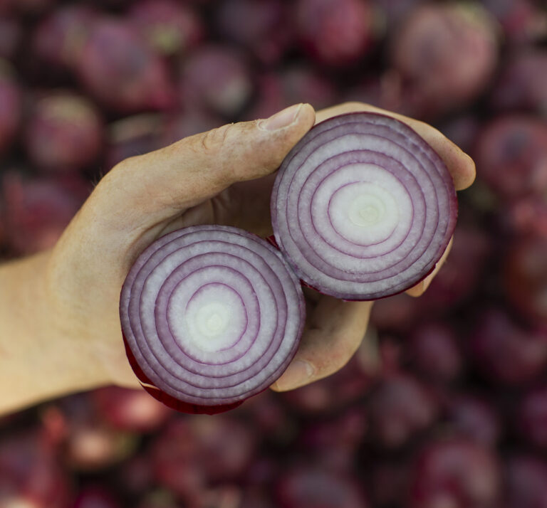 Get to know our newest red onion varieties - United Kingdom