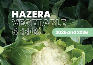 Hazera Catalogue 2025 and 2026 - United Kingdom